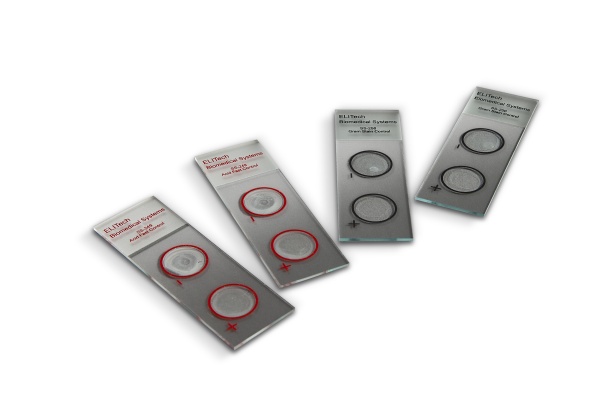 Gram and Acid-fast stain control slides – ELITechGroup: In Vitro ...