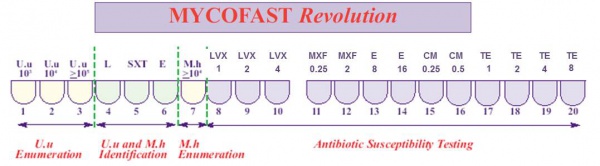 MYCOFAST®革命- ELITechGro188亚洲金博宝up:体外诊断设备和试剂 - 金宝博软件